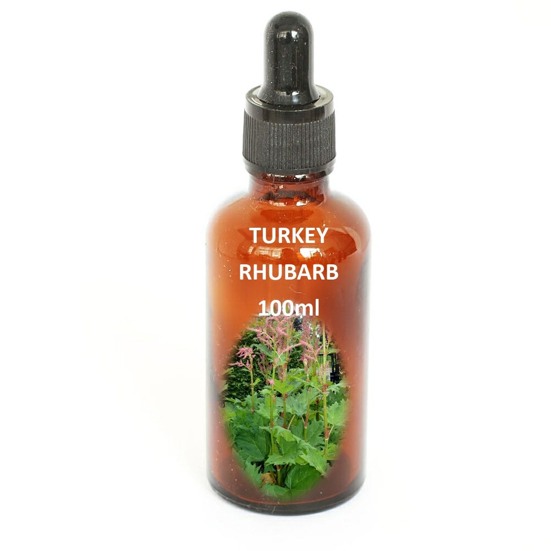 Turkey rhubarb tincture (Rheum palmatum) | My Site